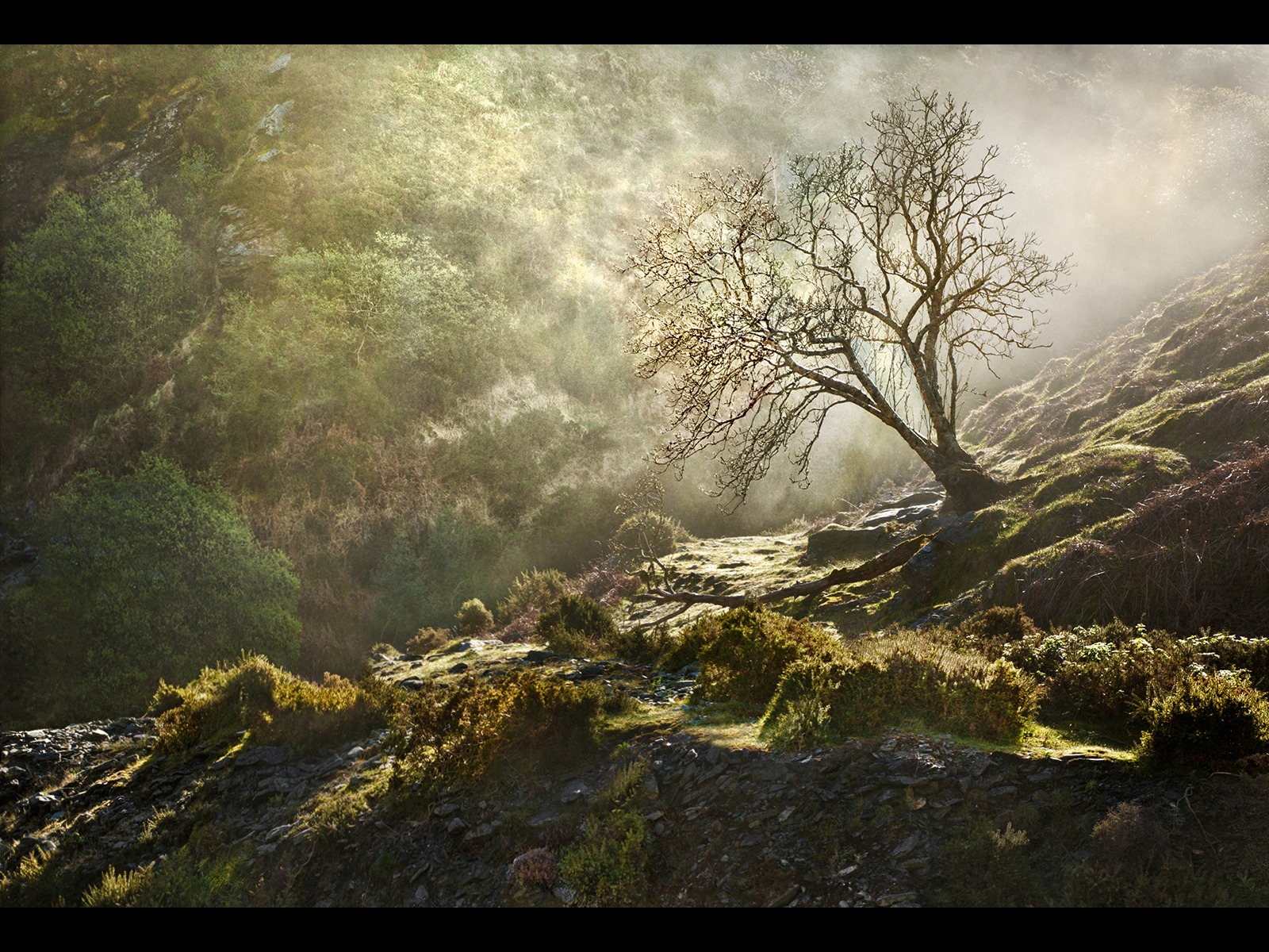Southern Battle Winners | Southern Photographic Society
