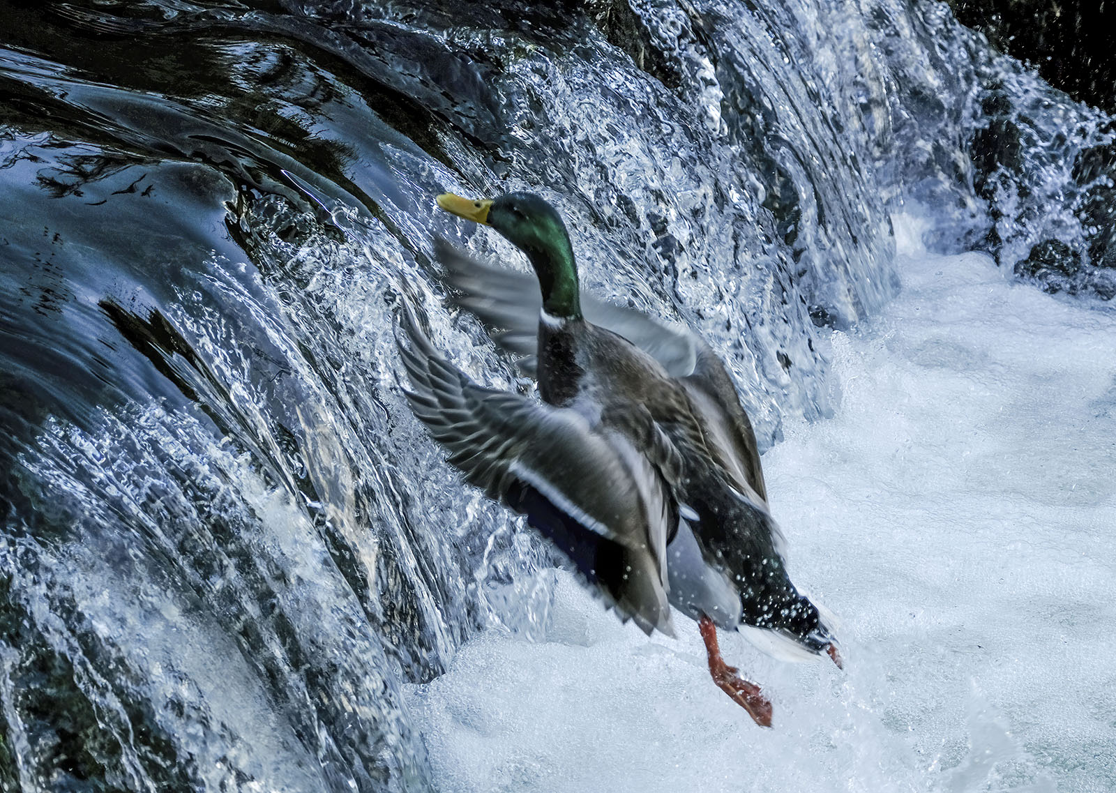 Water Competition Results | Southern Photographic Society